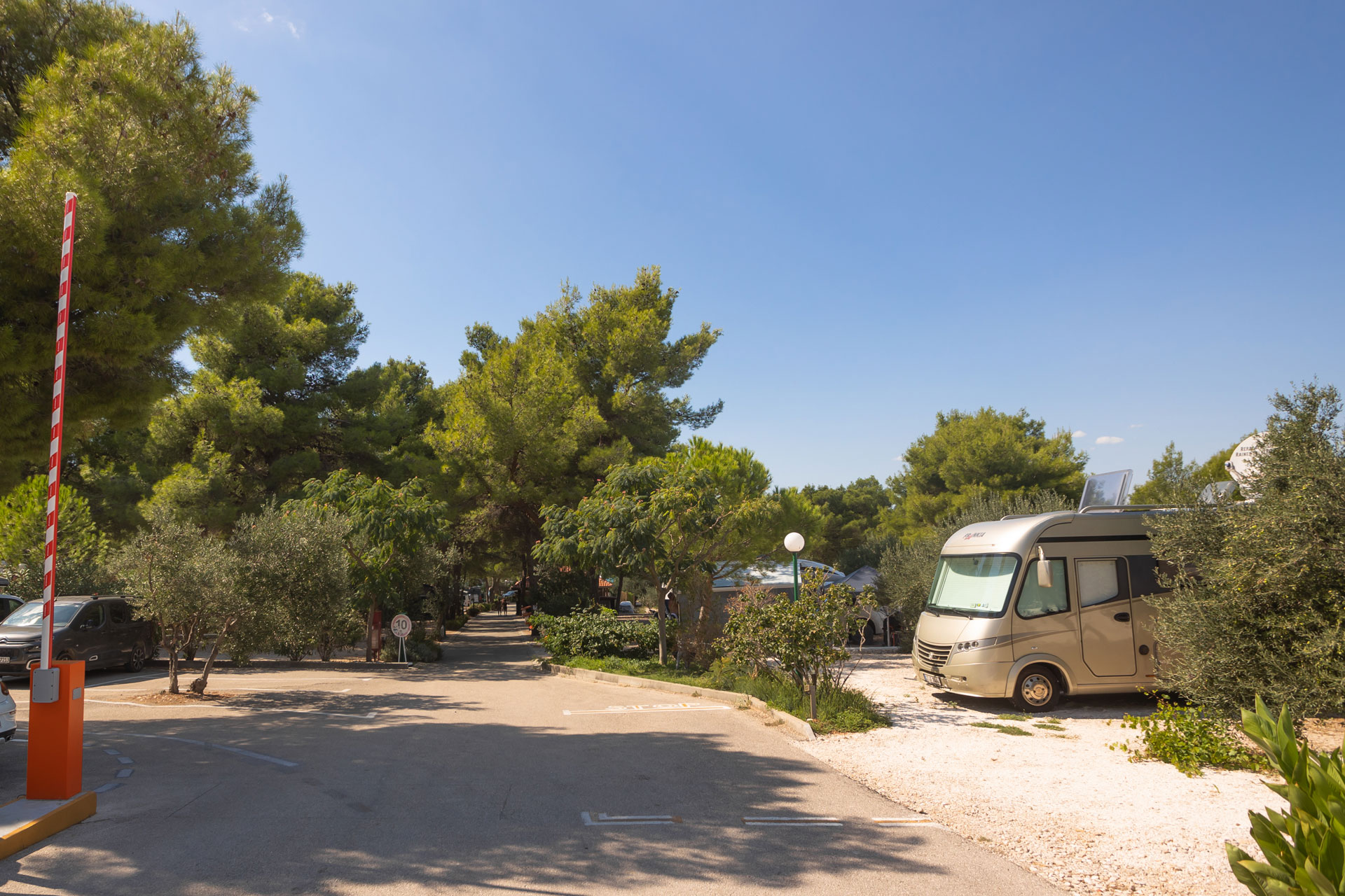 Oasis Camping / Kamp Jasenovo- Kamping oaza u srcu Dalmacije