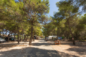 Oasis Camping / Kamp Jasenovo- Kamping oaza u srcu Dalmacije